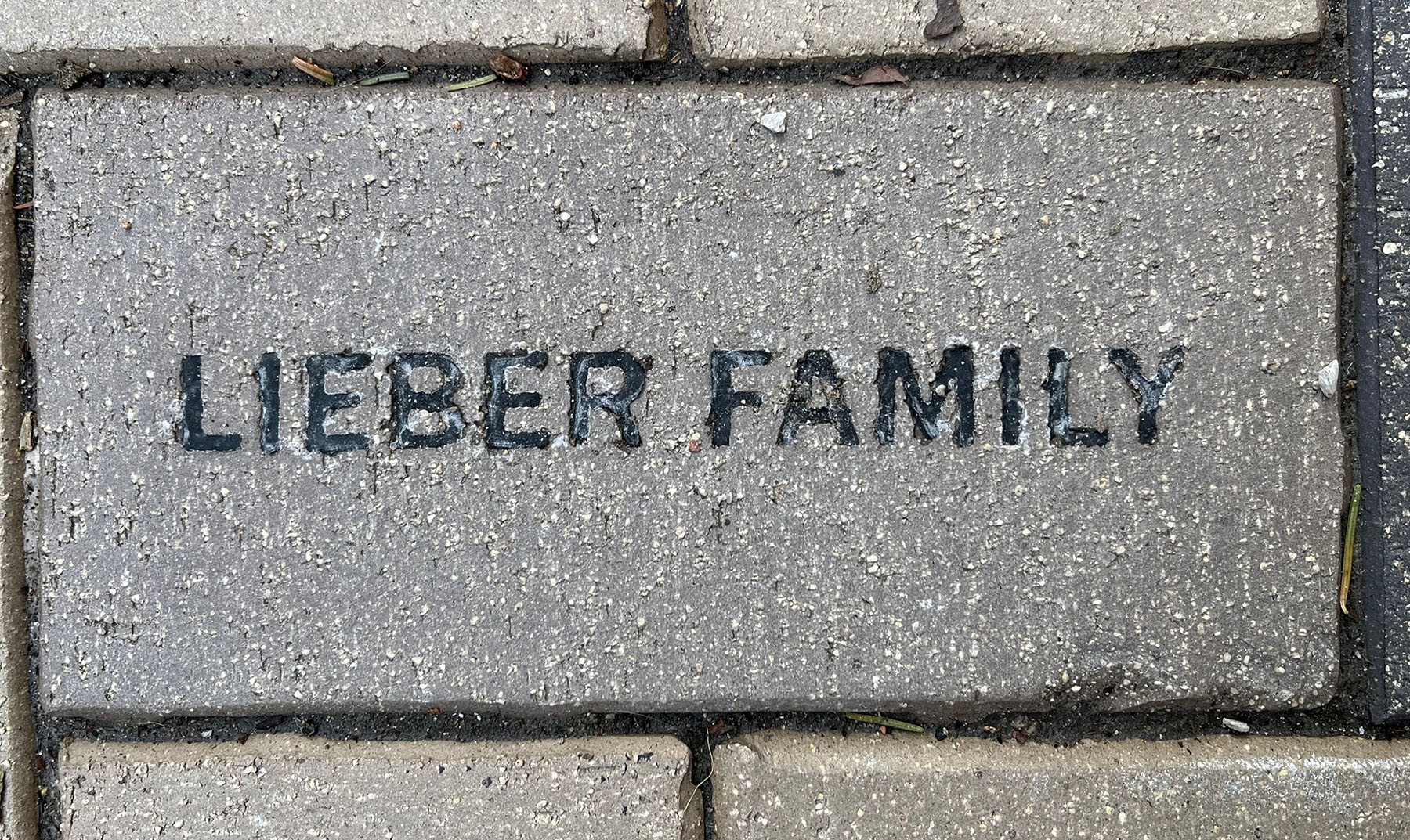 Priorities - Mike Lieber for Wilmette Village Board